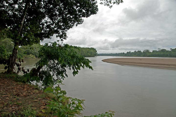 Tropical Rainforest Album - Amazonia-Cuyabeno2